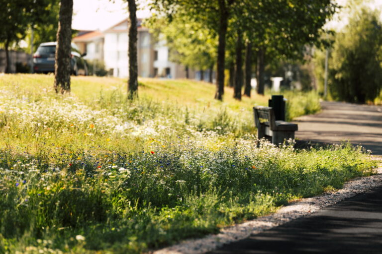 Paimion opisto - Paimio