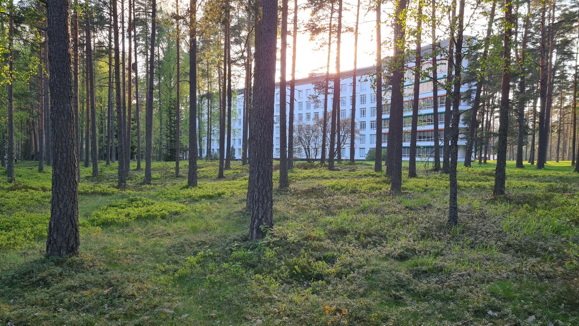 Kekrijuhla Paimion parantolassa - Paimio